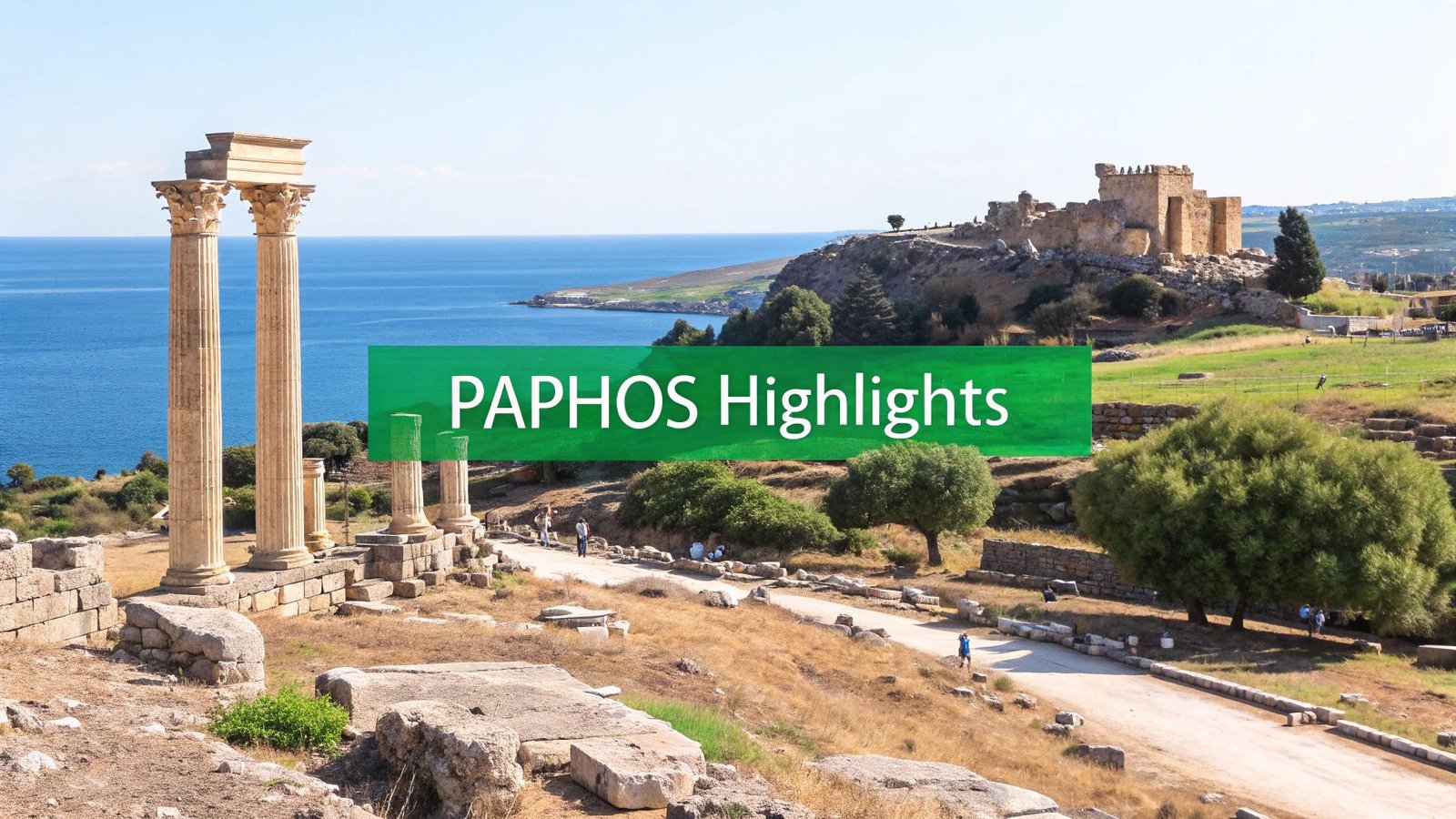Your Guide to Turtle Beach Cyprus — Say Cyprus