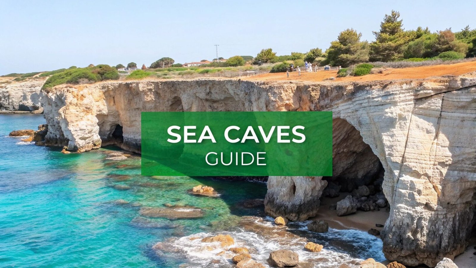 Your Guide to Turtle Beach Cyprus — Say Cyprus